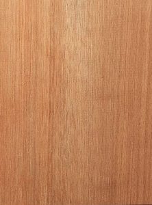 Nyatoh Wood - Kear Heng Timber